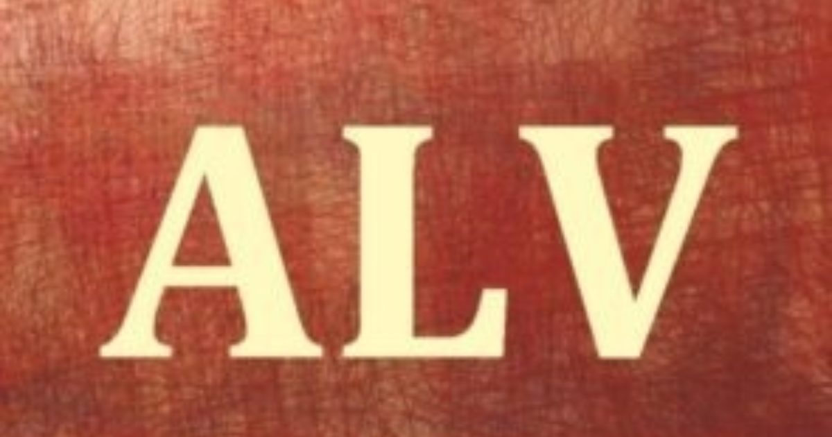 Boksen.nl | ALV 2024; zet het in de agenda!