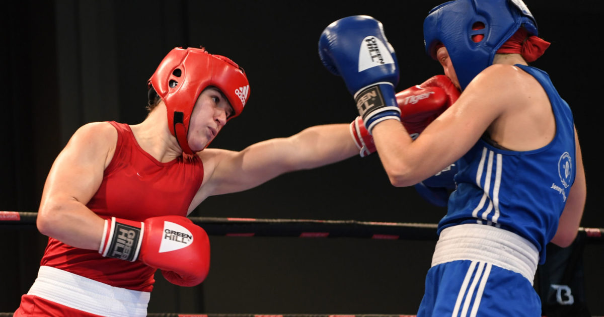 Boksen.nl | Eindhoven Box Cup 2024; livestream